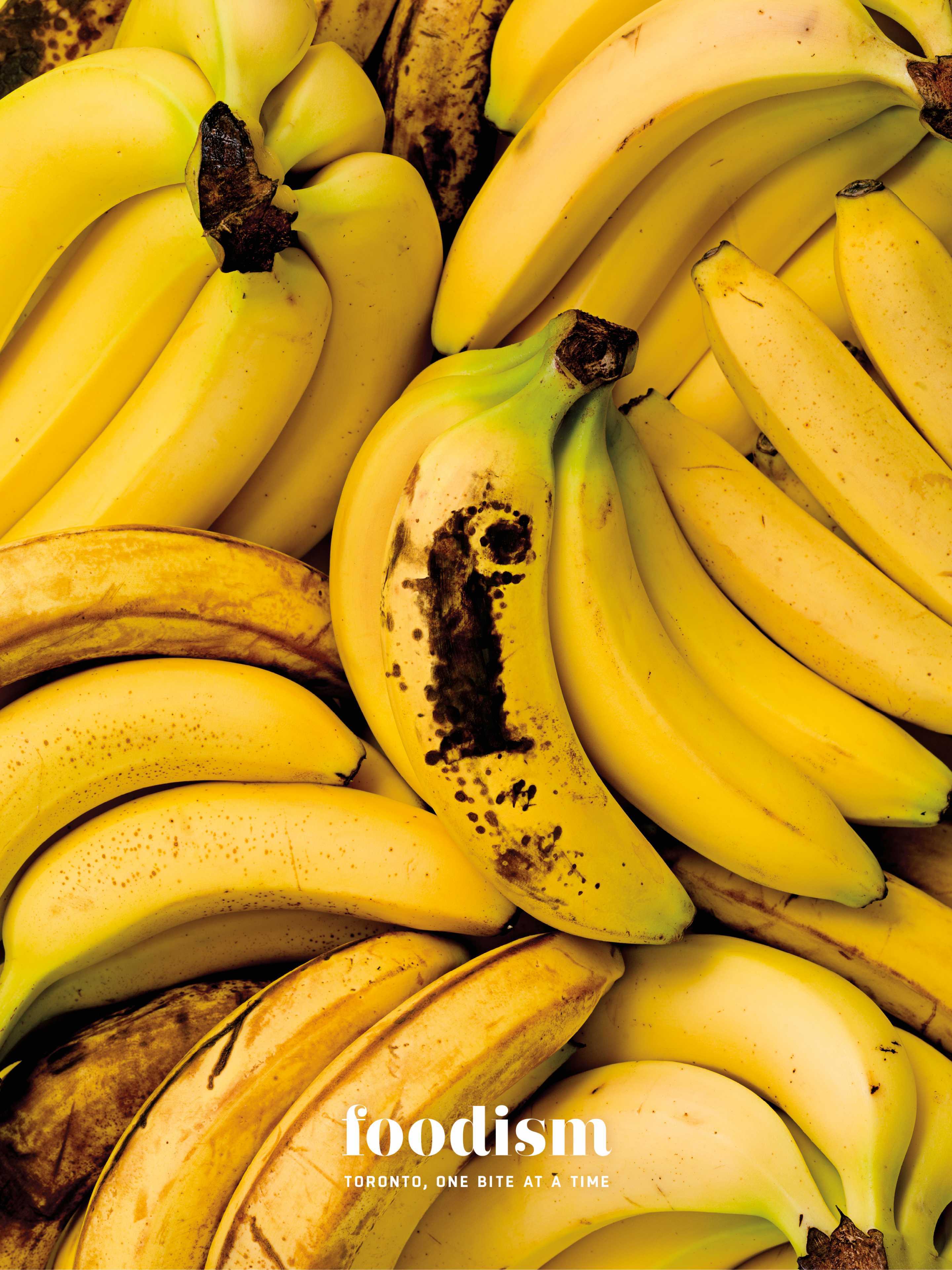 Foodism Toronto | Twenty Two Media