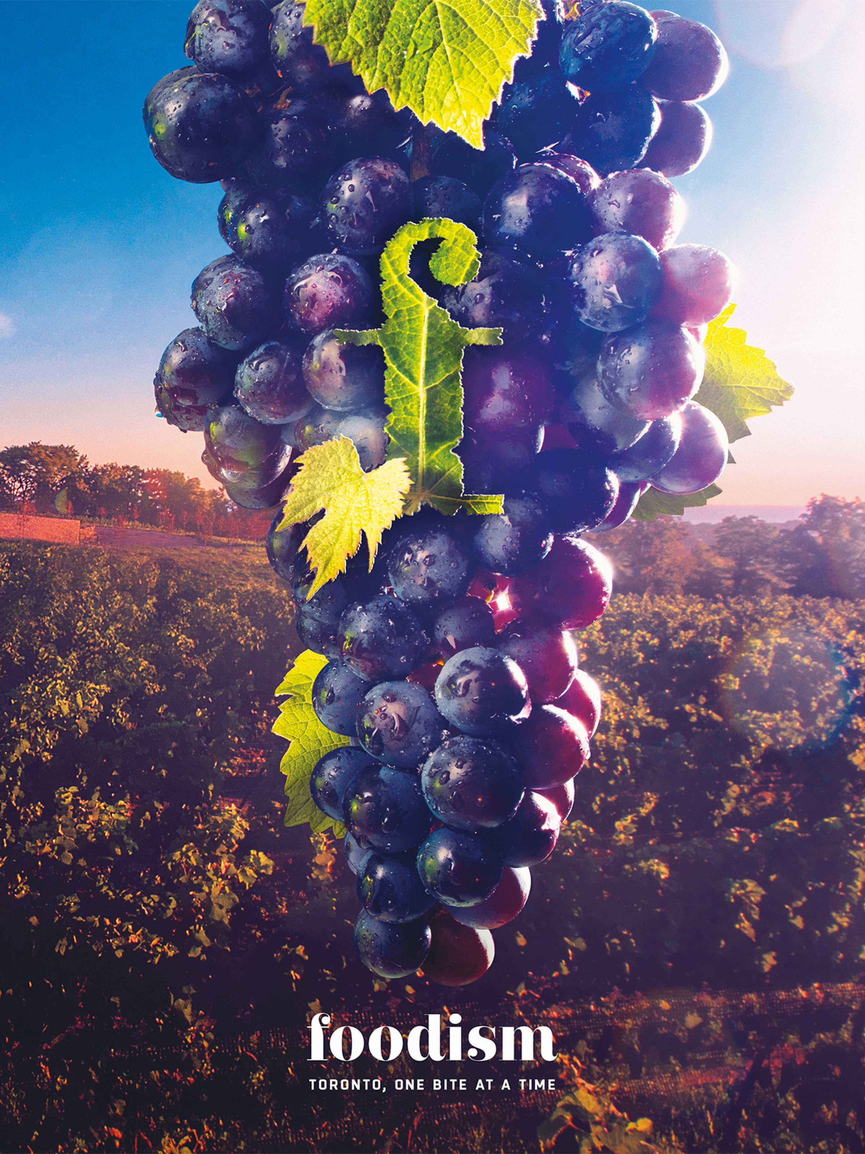 Foodism Toronto | Twenty Two Media